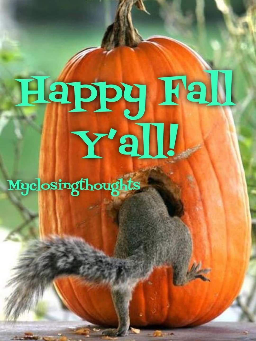 Squirrel In Pumpkin: Happy Fall Y'all! Pictures, Photos, and Images for ...