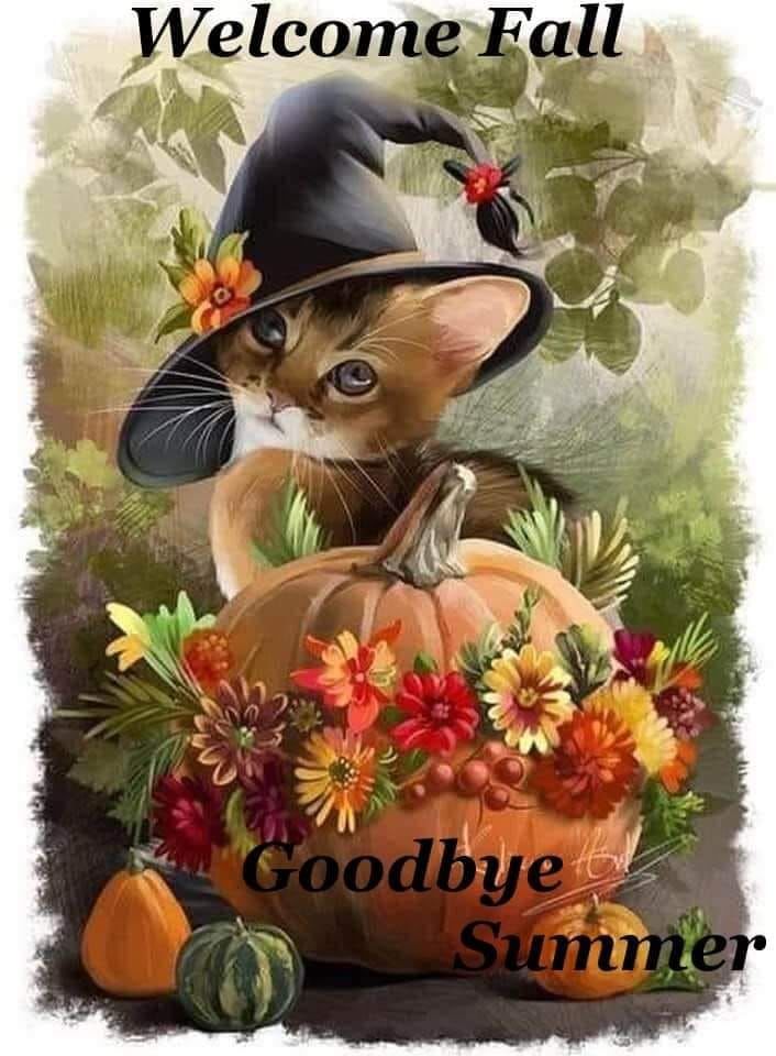 Welcome Fall Kitty Quote Pictures, Photos, and Images for Facebook ...