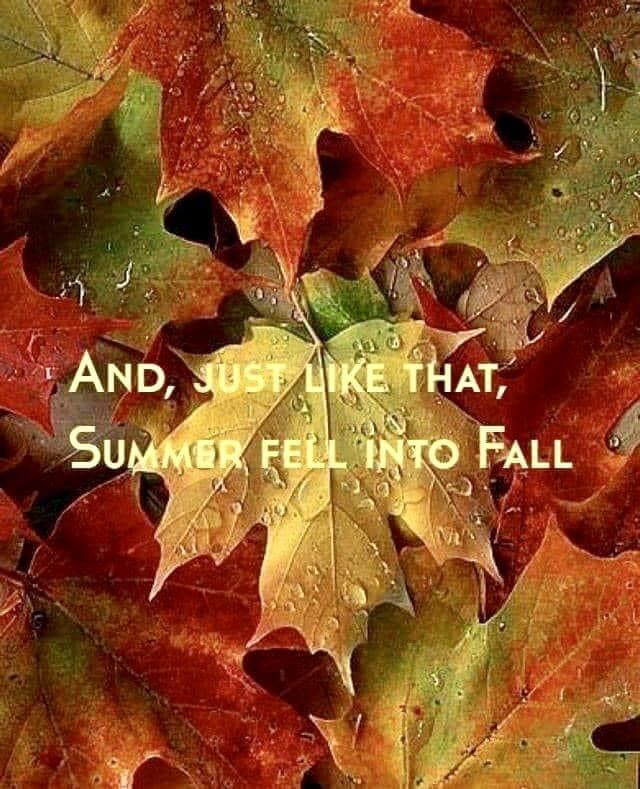 And Just Like That, Summer Fell Into Fall Pictures, Photos, and Images ...