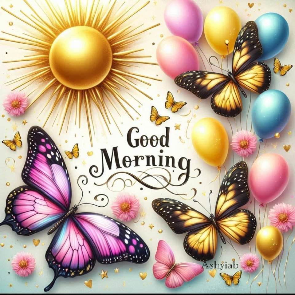 Good Morning Butterflies Pictures, Photos, and Images for Facebook ...