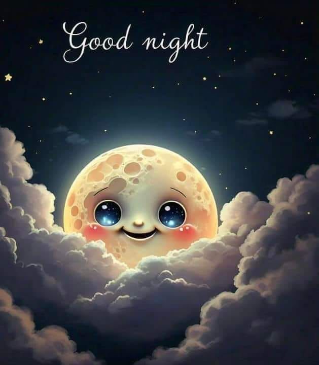 Happy Moon: Good Night Quote Pictures, Photos, and Images for Facebook ...