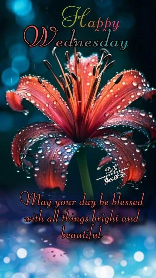 Happy Wednesday, May Your Day Be Blessed With All Things Bright And Beautiful Pictures, Photos ...