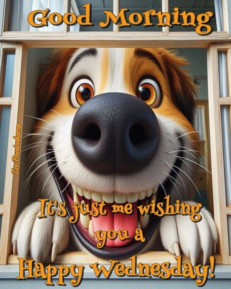 It's Just Me Wishing You A Happy Wednesday Pictures, Photos, and Images ...