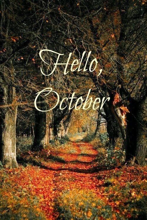 Fall Forest, Hello October Quote Pictures, Photos, and Images for ...