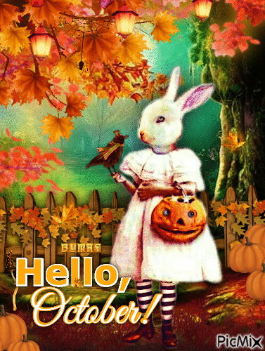 Bunny Trick Or Treater - Hello, October! Pictures, Photos, and Images ...