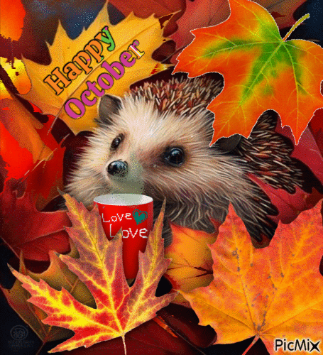 Fall Hedgehog - Happy October Gif Pictures, Photos, and Images for ...