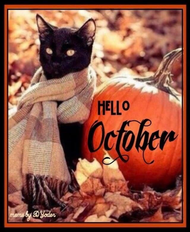 Fall Kitten, Hello October Pictures, Photos, and Images for Facebook ...