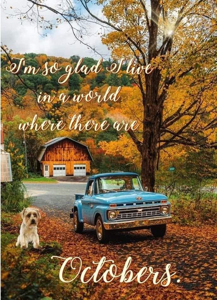 I'm So Glad I Live In A World Where There Are Octobers Pictures, Photos ...