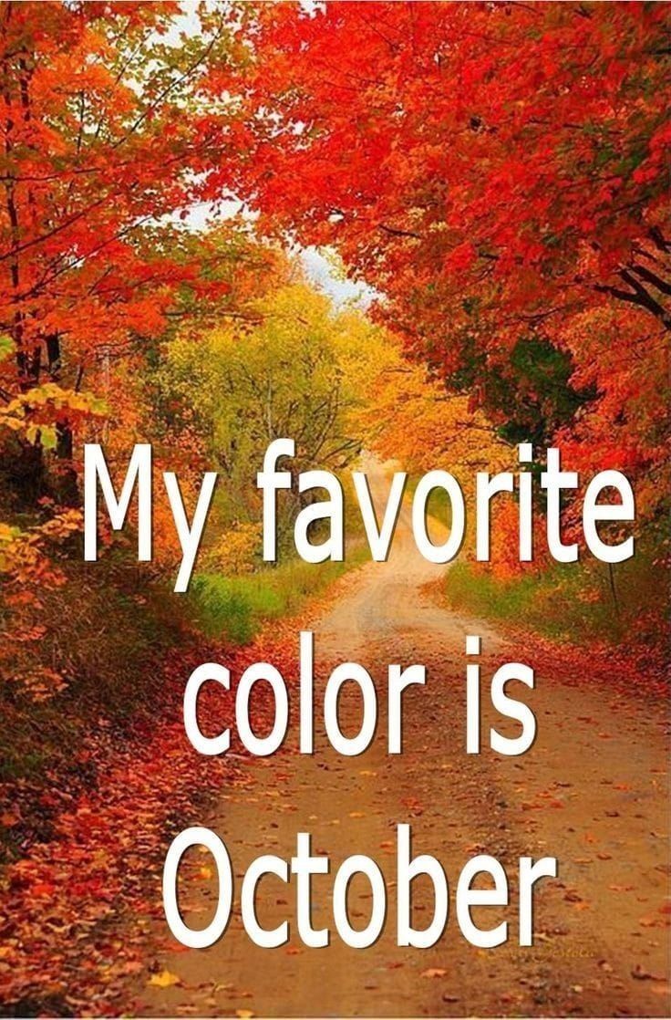 My Favorite Color Is October Pictures, Photos, and Images for Facebook ...