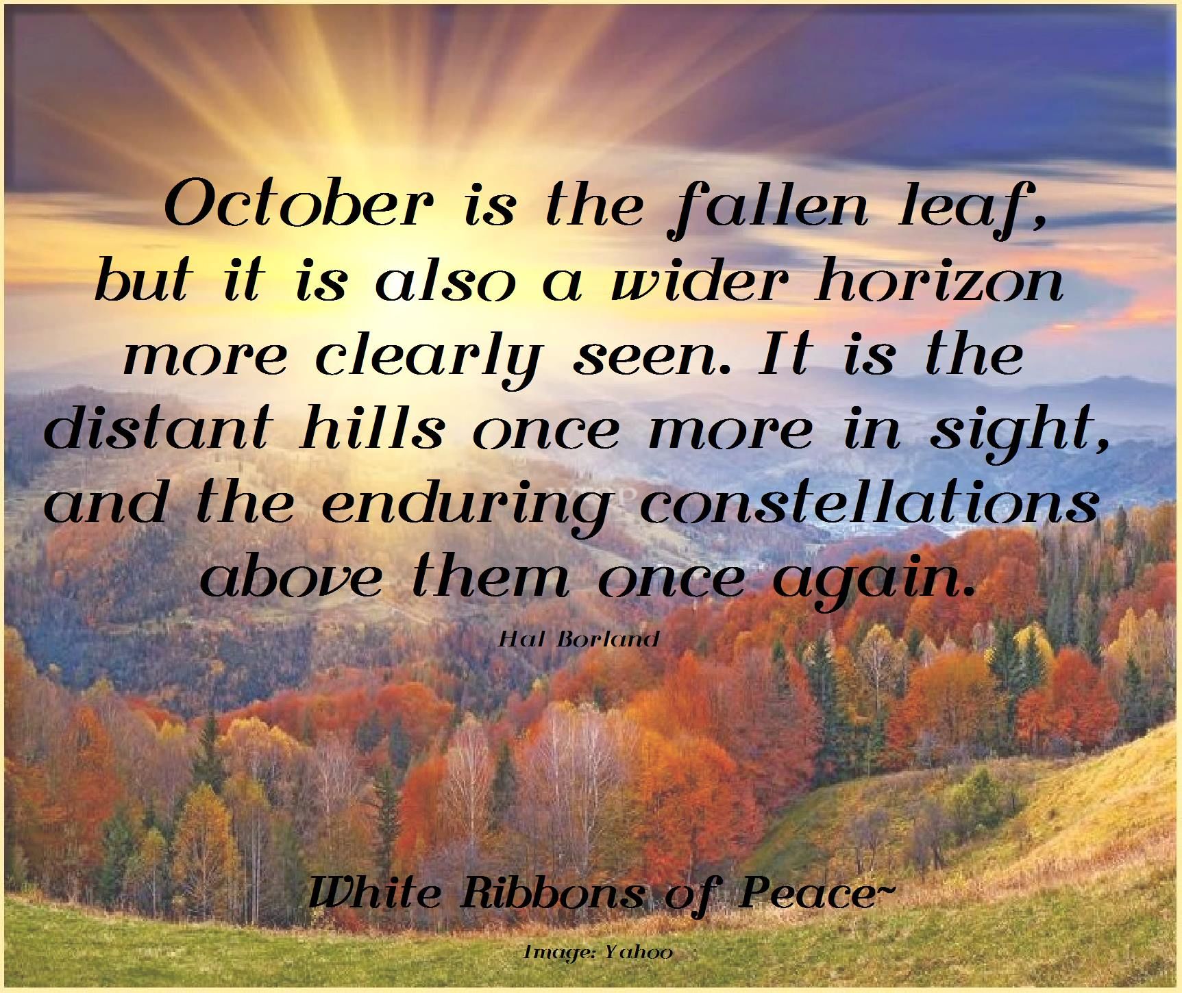 October Is The Fallen Leaf Pictures, Photos, and Images for Facebook, Tumblr, Pinterest, and Twitter