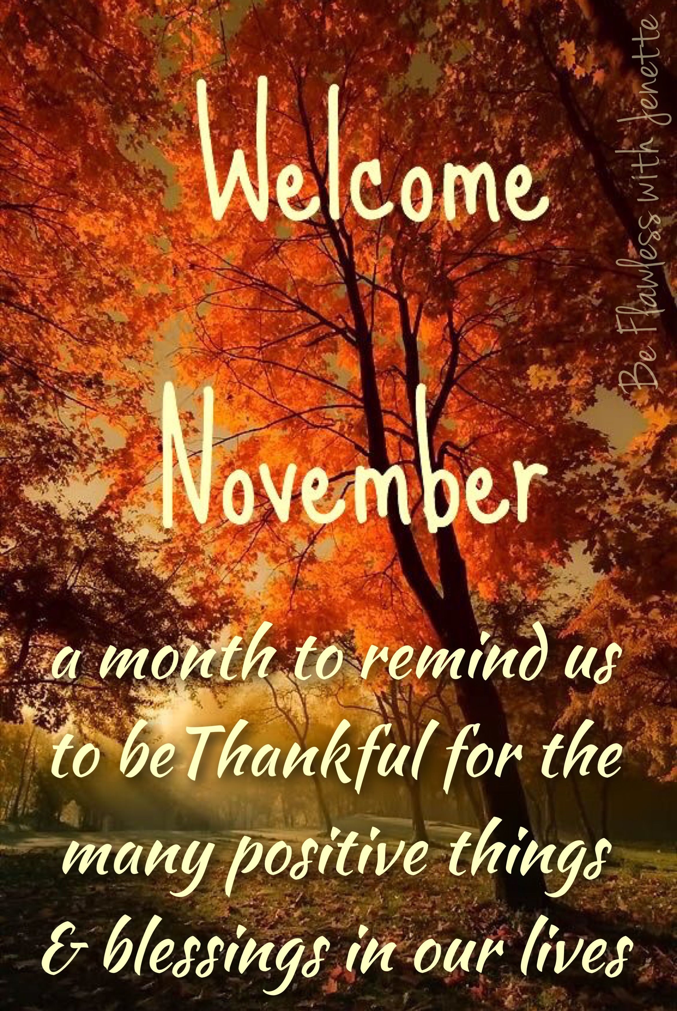 Welcome November 2024, A Month To Remind Us To Be Thankful Pictures ...