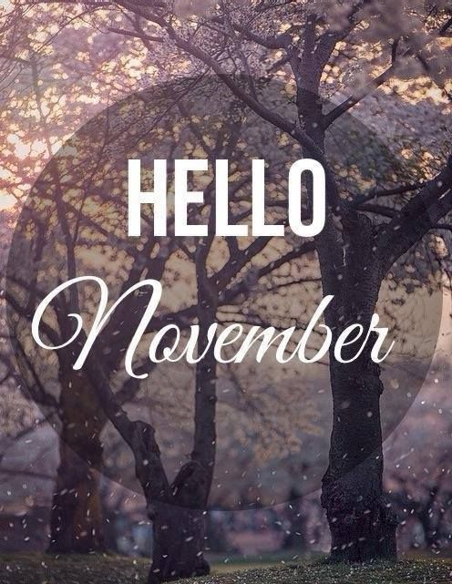 Hello November Pictures, Photos, and Images for Facebook, Tumblr ...