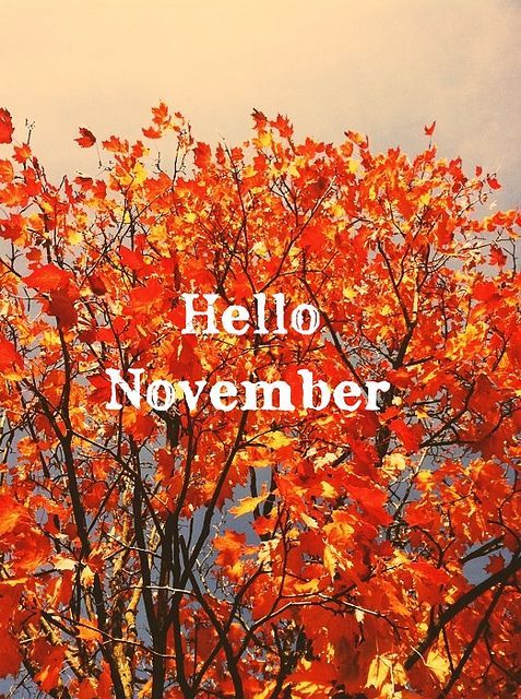 Hello November Pictures, Photos, and Images for Facebook, Tumblr ...