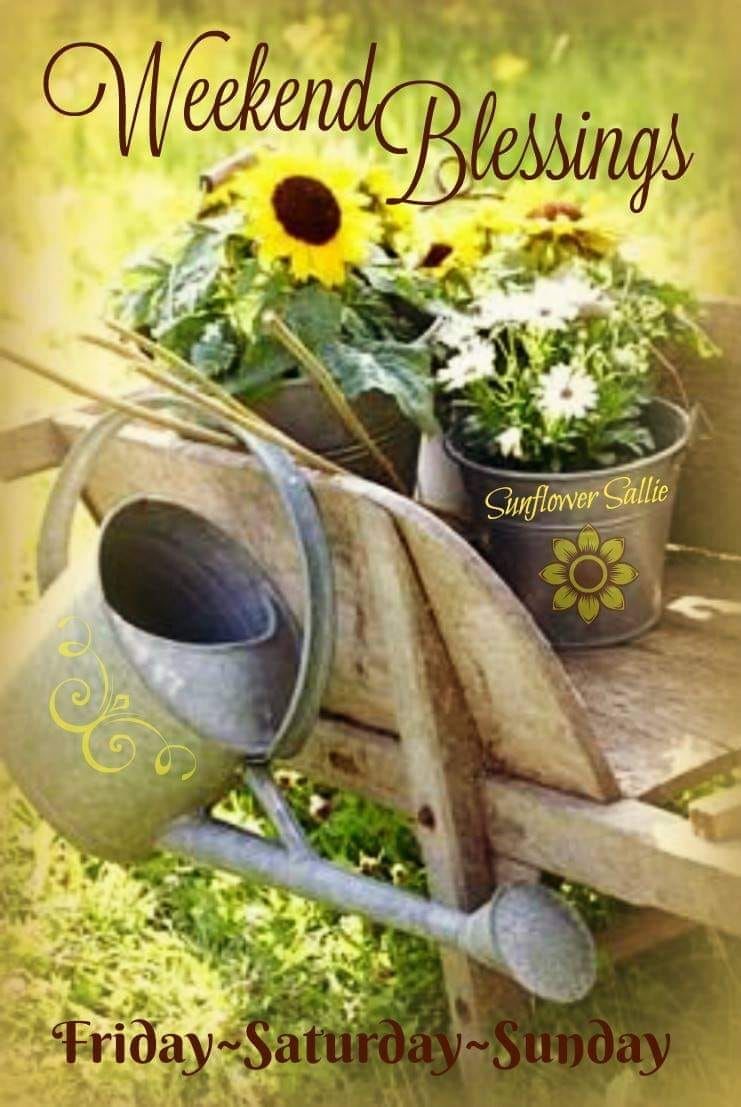 Weekend Blessings. Friday, Saturday And Sunday Pictures, Photos, and ...