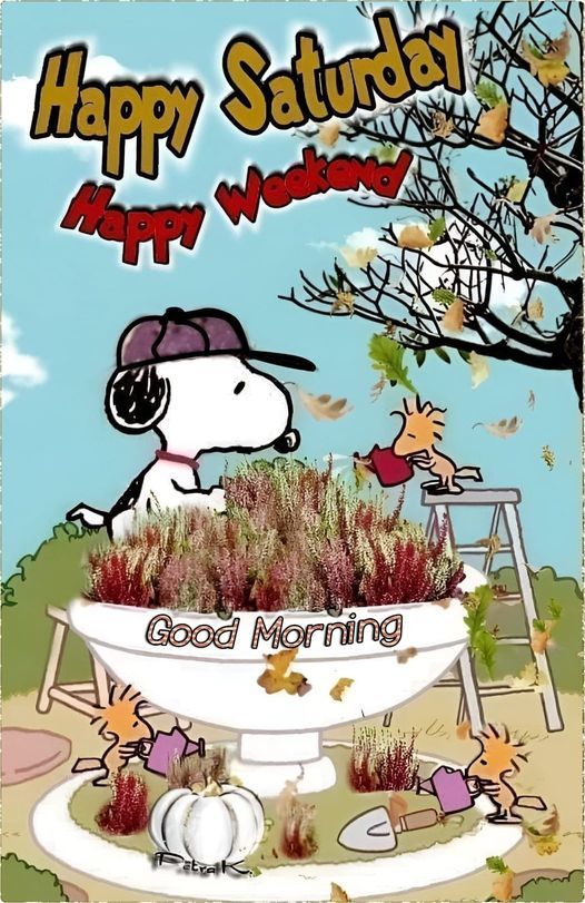 Happy Saturday & Happy Weekend Pictures, Photos, and Images for ...