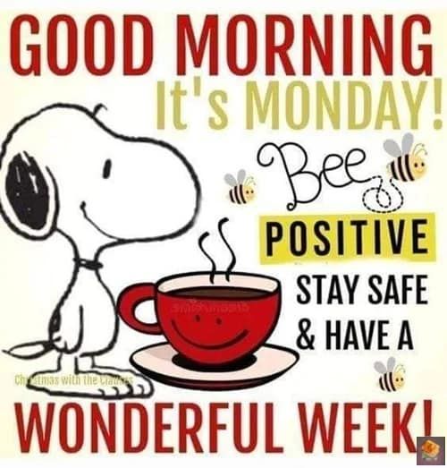 Bee Positive And Good Morning Monday! Pictures, Photos, and Images for ...