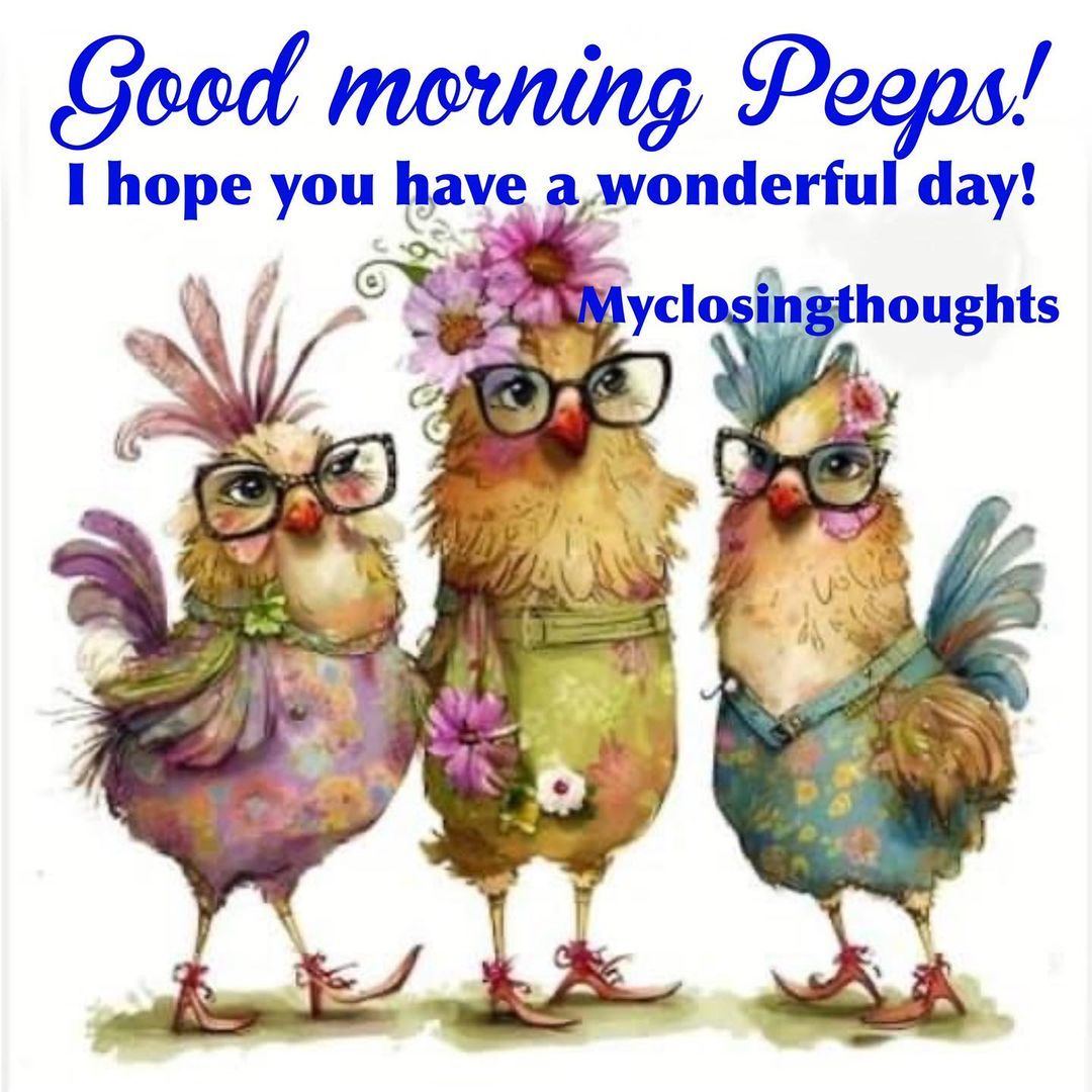 Fancy Chickens - Good Morning Peeps! I Hope You Have A Wonderful Day ...