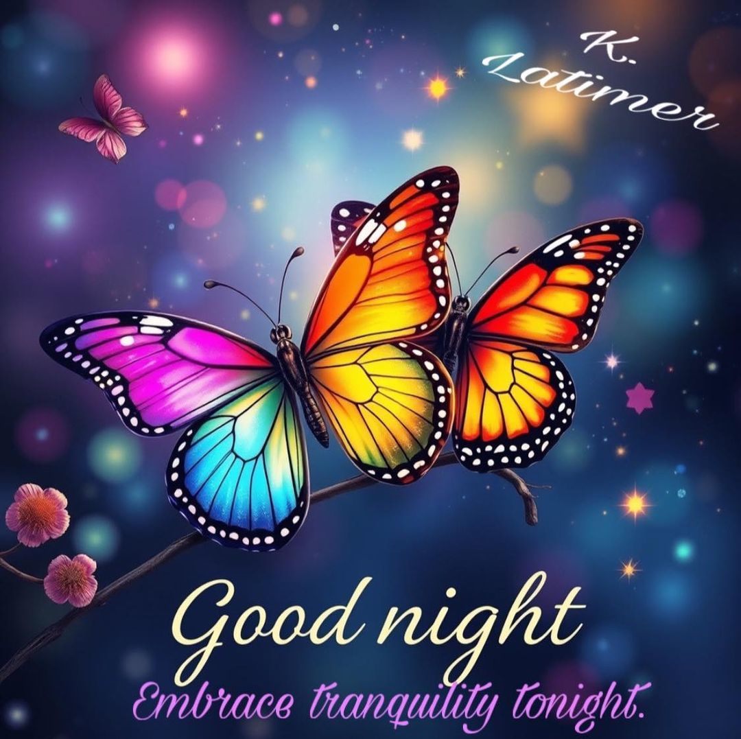 Colorful Butterfly - Good Night Pictures, Photos, and Images for ...