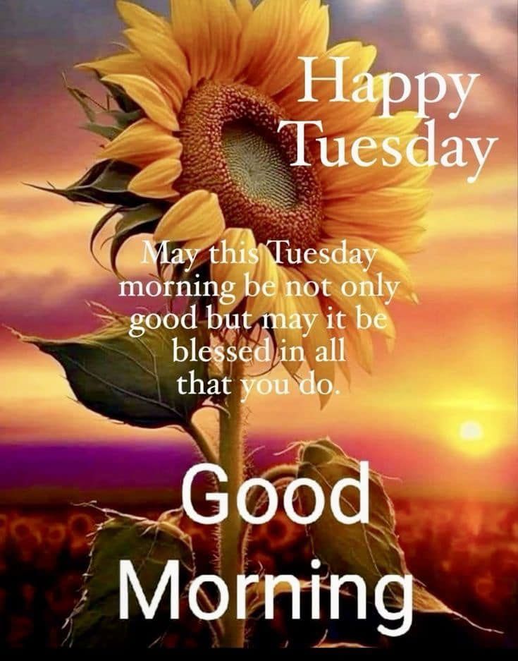 May This Tuesday Morning Be Not Only Good But May It Be Blessed In All ...