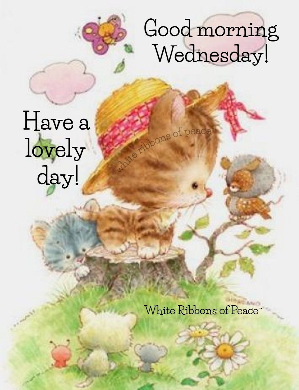 Good Morning Wednesday! Have A Lovely Day! Pictures, Photos, and Images ...