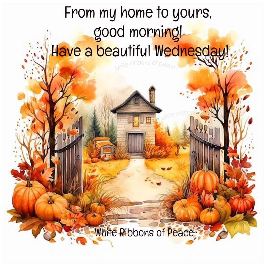 From My Home To Yours, Good Morning! Have A Beautiful Wednesday ...