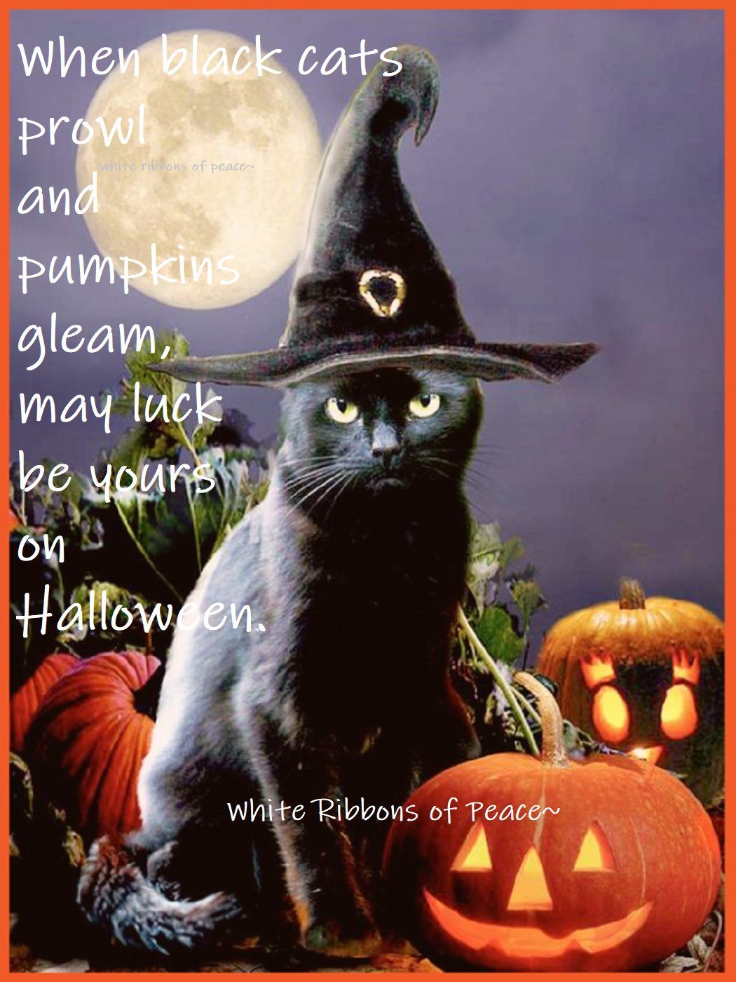 When Black Cats Prowl And Pumpkins Gleam, May Luck Be Yours On ...