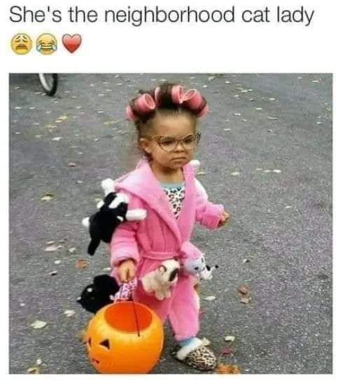 She's The Neighborhood Cat Lady Pictures, Photos, and Images for ...