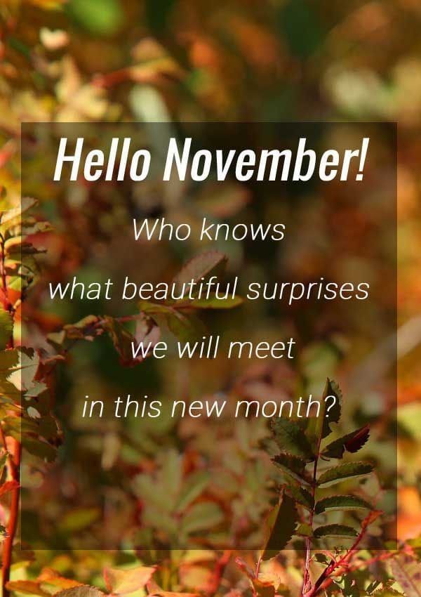 Hello November: Who Knows What Beautiful Surprises We Will Meet In This ...