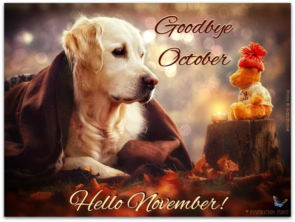 Goodbye October, Hello November! Pictures, Photos, and Images for ...