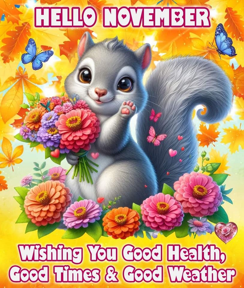 Adorable Squirrel, Hello November Greeting Pictures, Photos, and Images ...