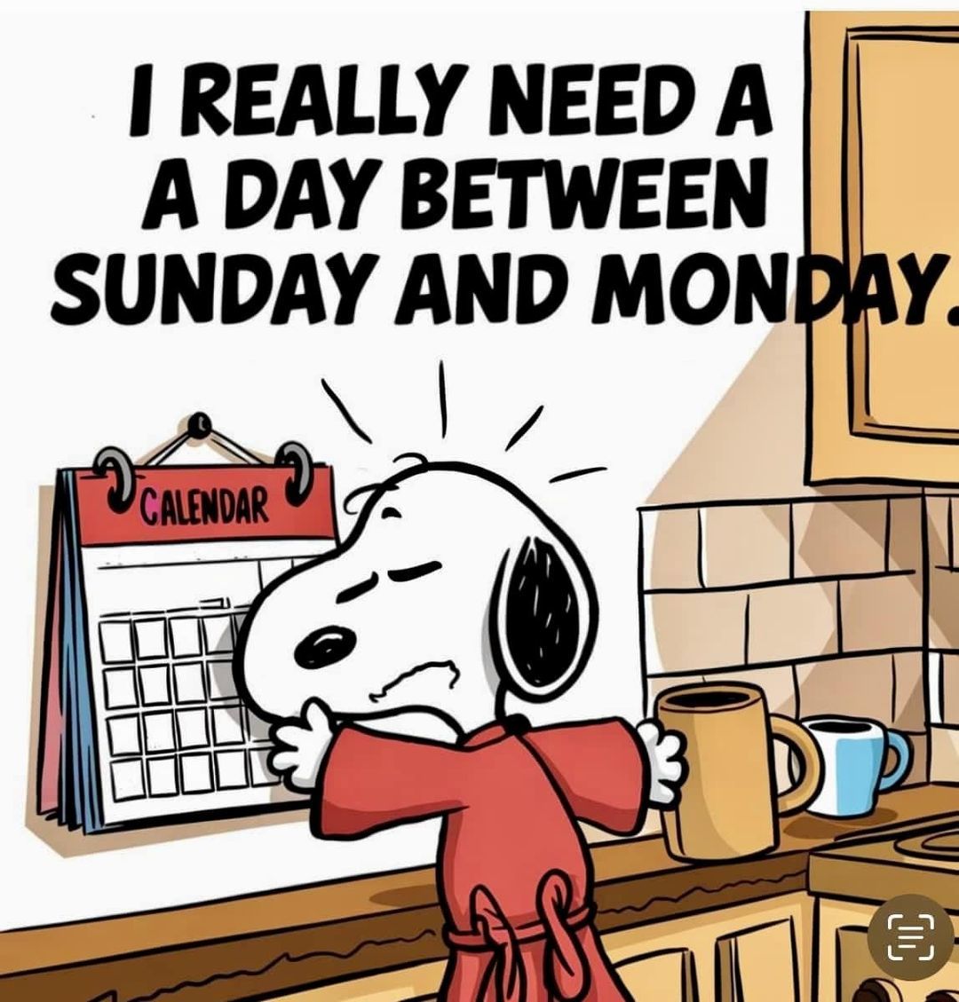 I Really Need A Day Between Sunday And Monday Pictures, Photos, and ...