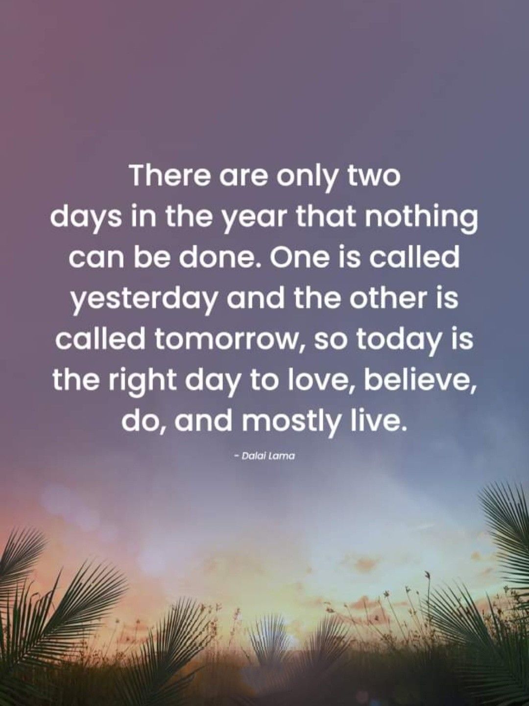 There Are Only Two Days In The Year That Nothing Can Be Done. Pictures ...
