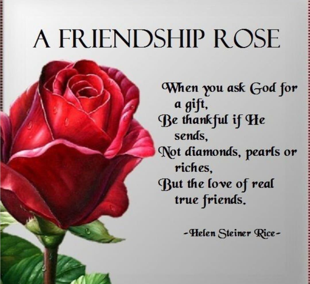 A Friendship Rose Pictures, Photos, and Images for Facebook, Tumblr ...