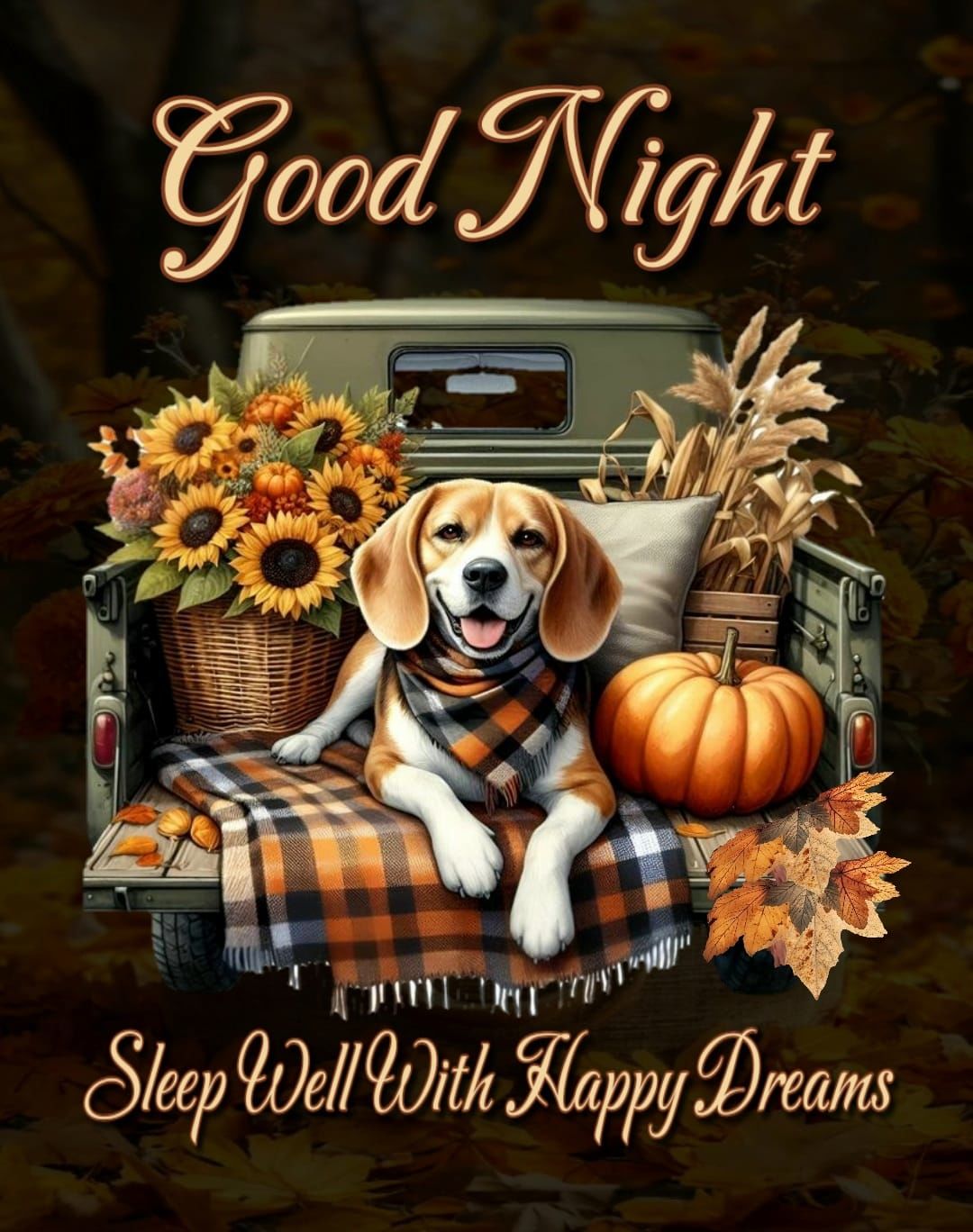 Sleep Well With Happy Dreams, Good Night Pictures, Photos, and Images ...