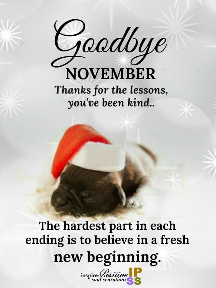 Goodbye December. Thanks For The Lessons, You've Been Kind. Pictures ...
