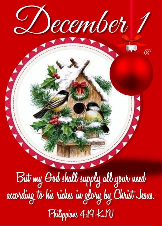 December 1 Pictures, Photos, and Images for Facebook, Tumblr, Pinterest ...