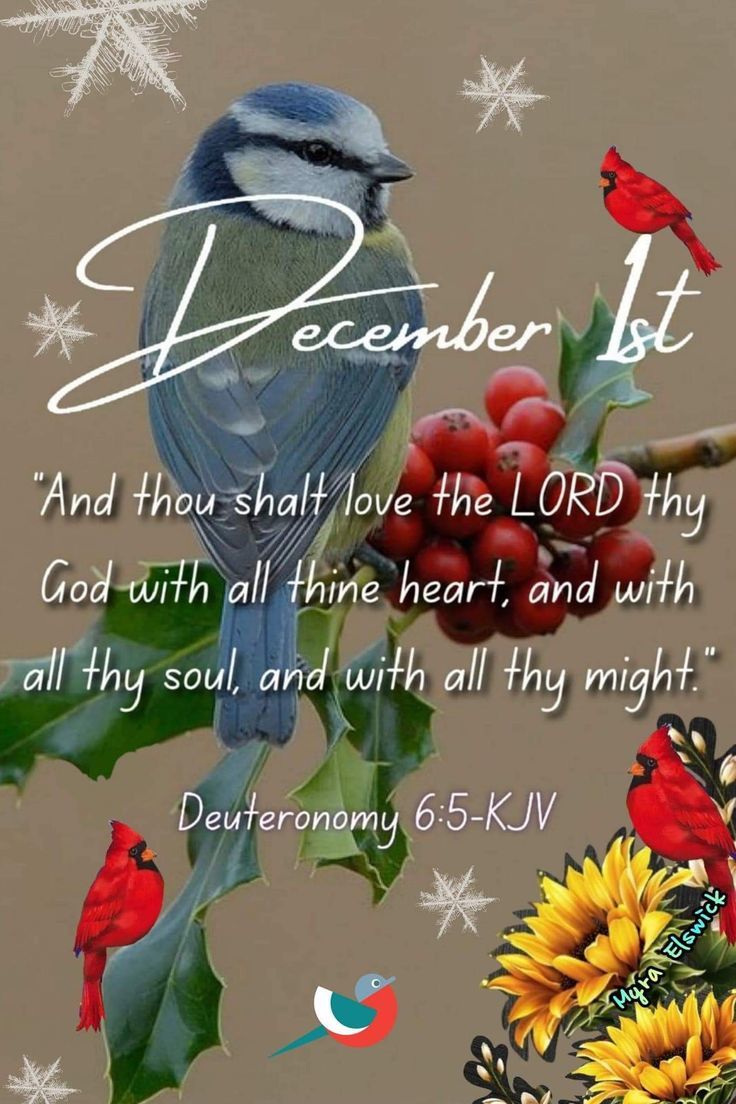 December 1st Pictures, Photos, and Images for Facebook, Tumblr ...