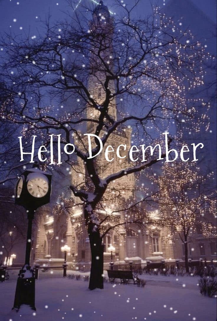 Hello December Saying Pictures, Photos, and Images for Facebook, Tumblr ...