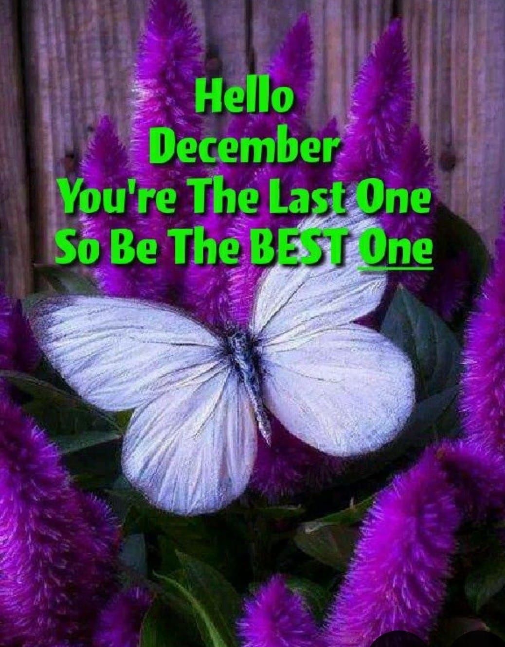 Hello December. You're The Last One So Be The Best One Pictures, Photos ...
