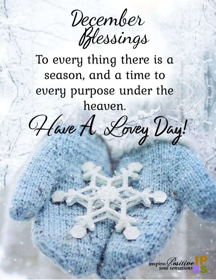 December Blessings: To Every Thing There Is A Season, And A Trime To ...