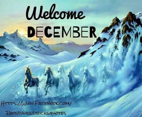 Welcome December Horses Pictures, Photos, and Images for Facebook ...