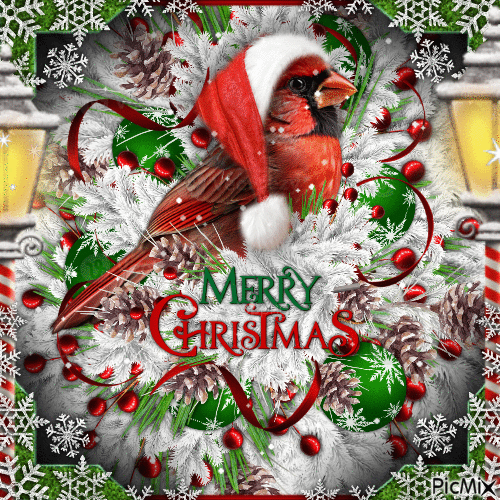 Merry Christmas Cardinal Gif Pictures, Photos, and Images for Facebook ...