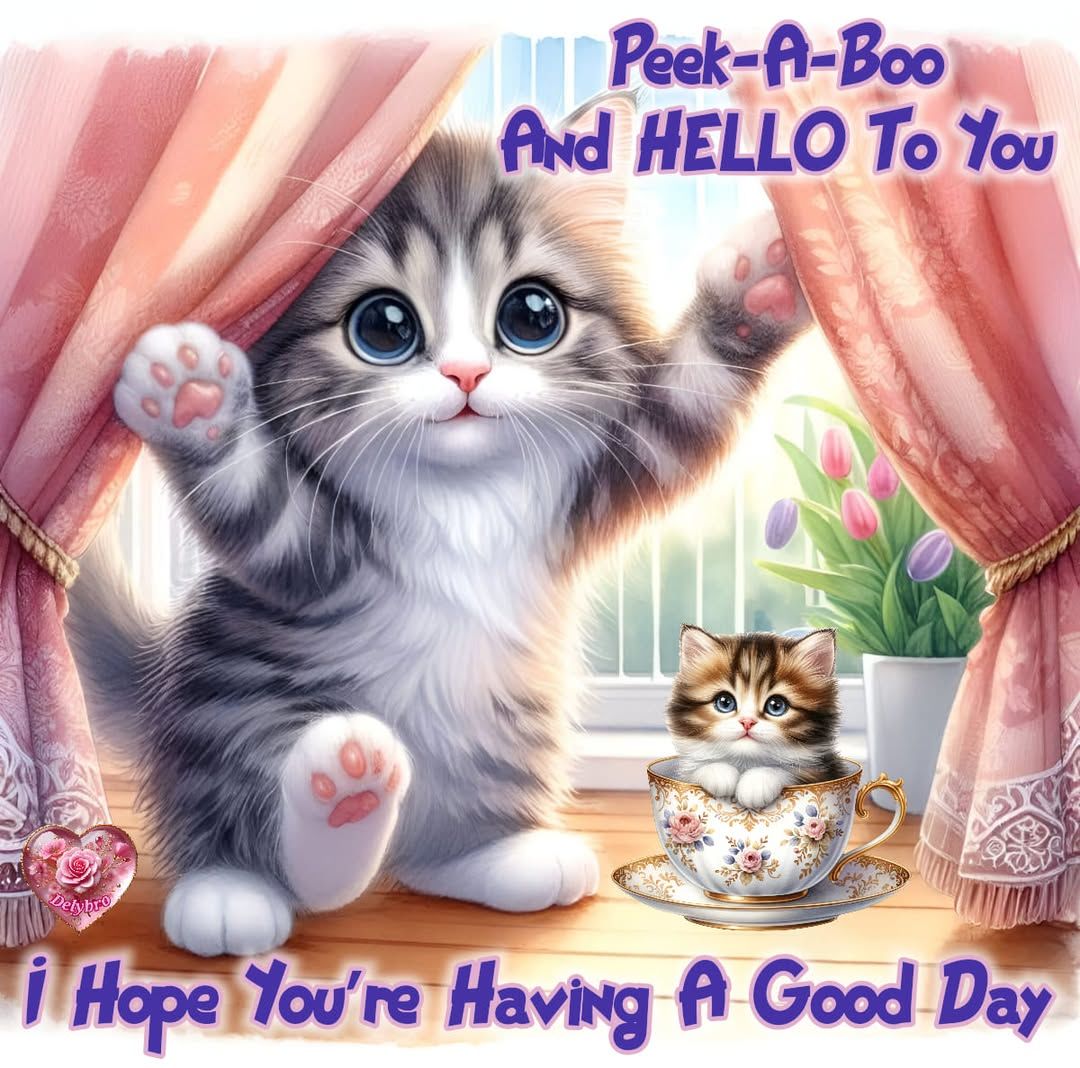 Peek A Boo And Hello To You. I Hope You're Having A Good Day Pictures ...