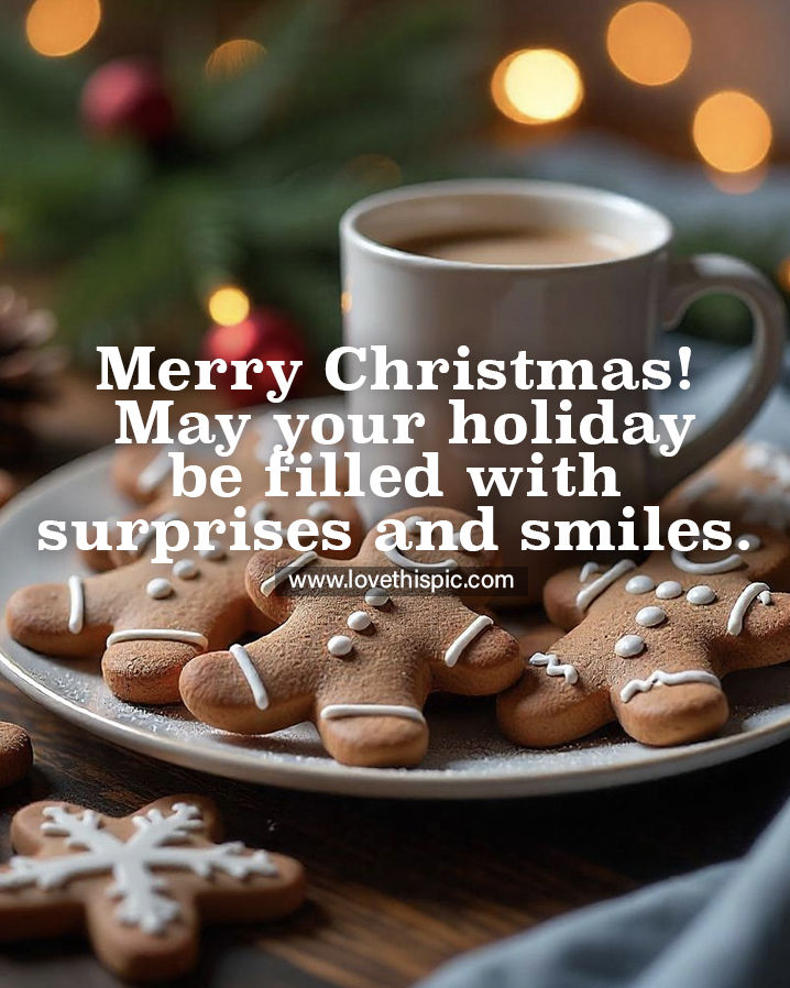 Merry Christmas! May Your Holiday Be Filled With Surprises And Smiles ...