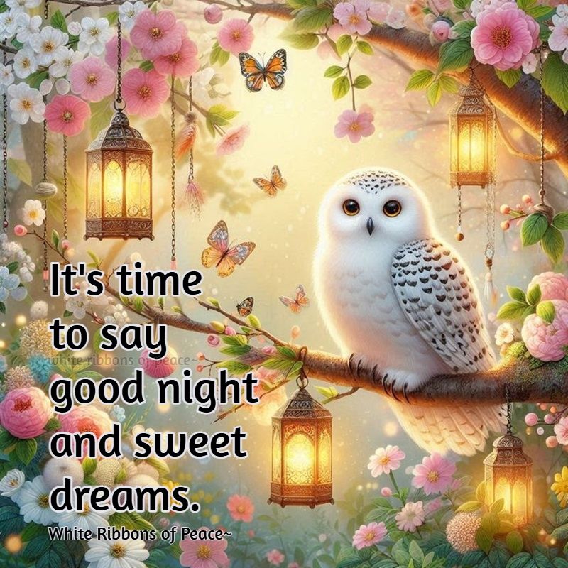 It's Time To Say Good Night And Sweet Dreams Pictures, Photos, and ...