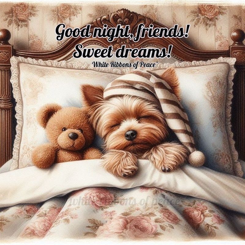 Good Night, Friends! Sweet Dreams Pictures, Photos, and Images for ...
