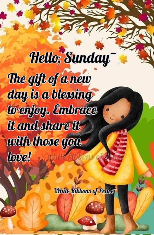 Hello, Sunday Pictures, Photos, and Images for Facebook, Tumblr ...