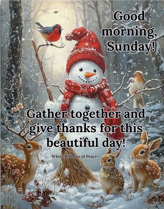 Good Morning, Sunday! Pictures, Photos, and Images for Facebook, Tumblr ...