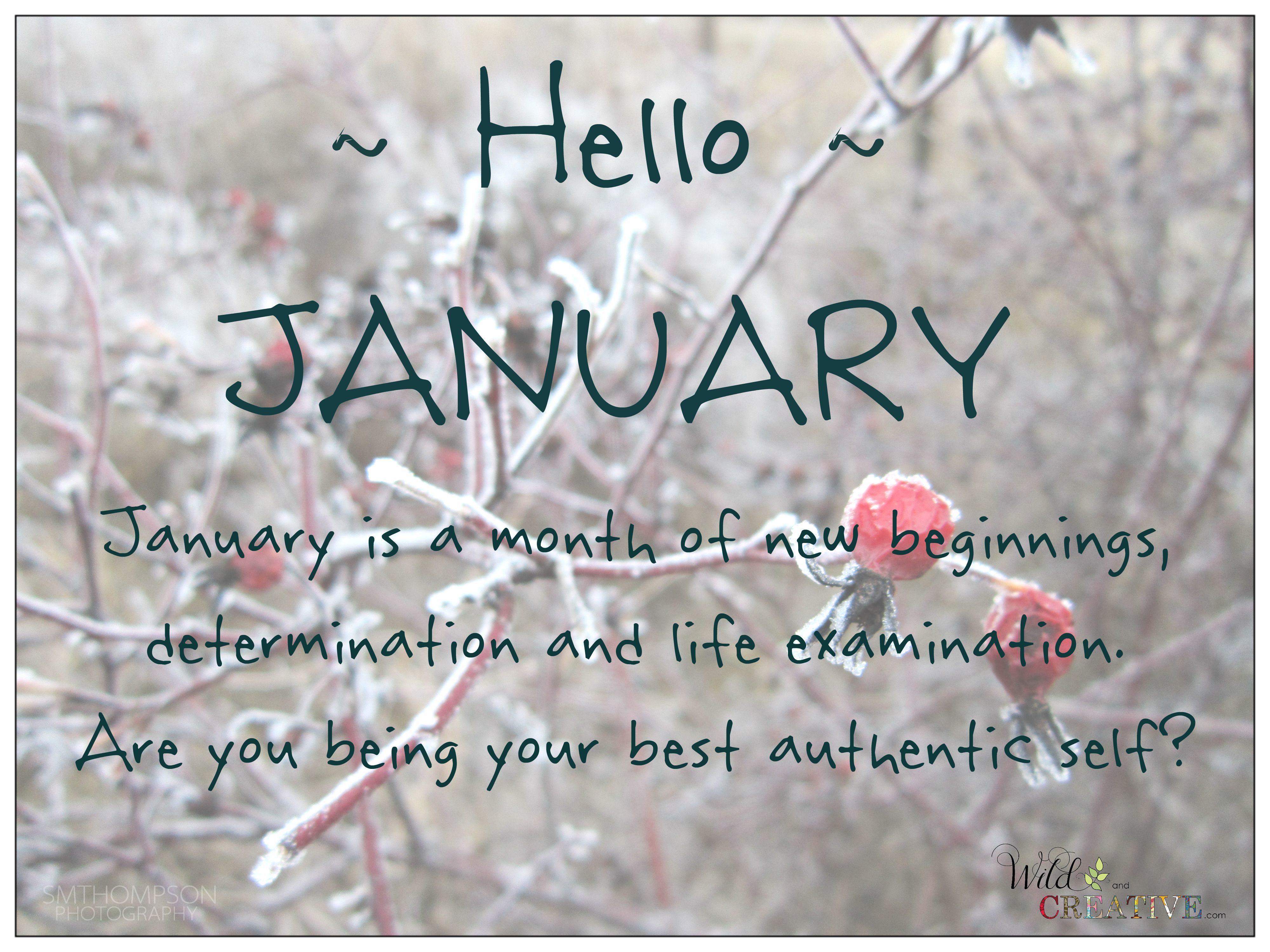 January Is A Month Of New Beginnings. Hello January Pictures, Photos ...