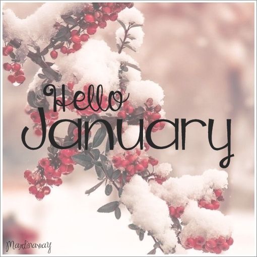 Snowy Holly Berry - Hello January Pictures, Photos, and Images for ...